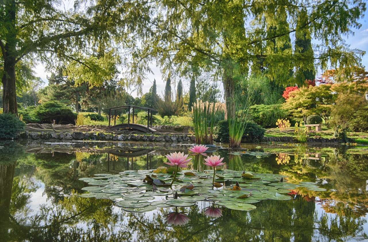 Parco Giardino Sigurtà | GRANDI GIARDINI ITALIANI
